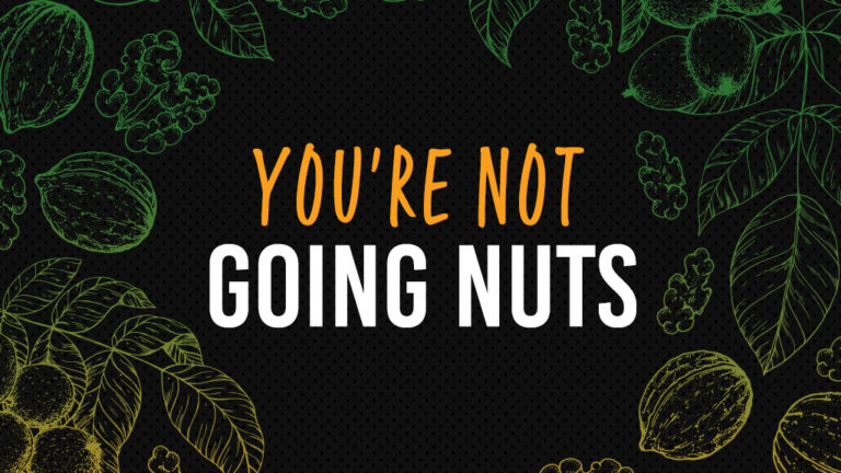 You’re Not Going Nuts… Walnuts Improve Brain Function – Snack Primal